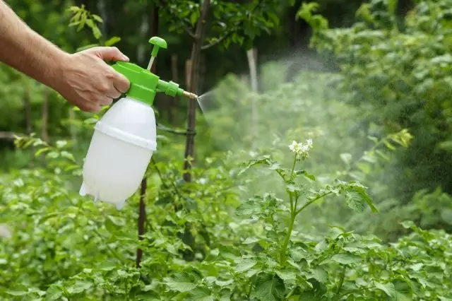 Plantbehandeling