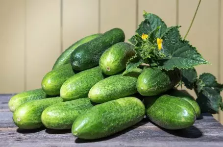 Waarom zijn bittere komkommers en wat je moet doen, zodat ze het niet kunnen schelen 2790_3