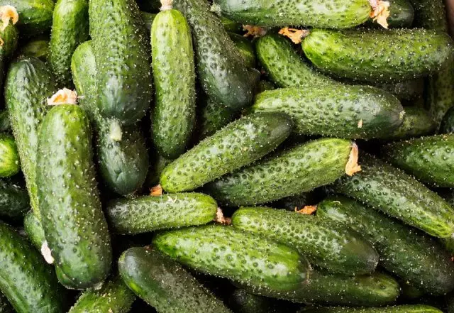 11 Shahararrun nau'ikan cucumbers don salting da canning 2795_1