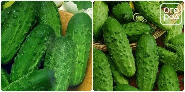 Cucumber grachy crunchy