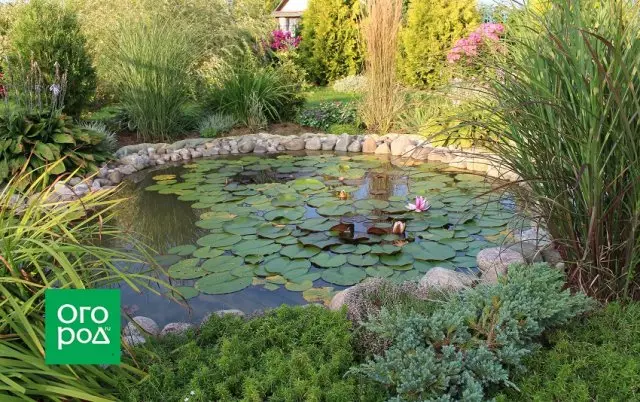 貯水池の周りの花の庭