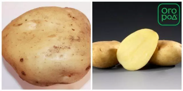 Timoto potato akasiyana