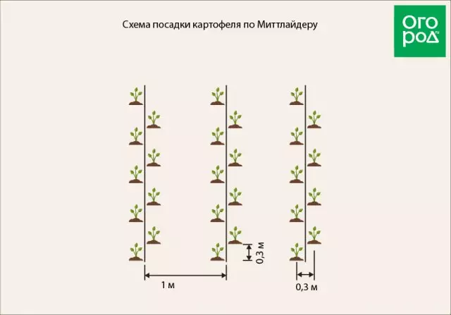 Kasvavat perunat mittlider - laskeutumisjärjestelmä