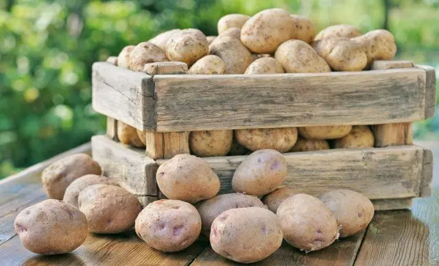 6 Errors when storing potatoes, or why potatoes are poorly stored 2884_1