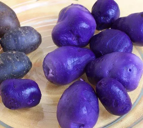 Mėlynos bulvės