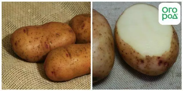 다양 한 감자 티라.