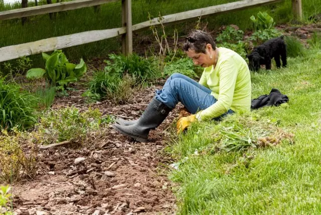 Müdigkeit im Gartengrundstück