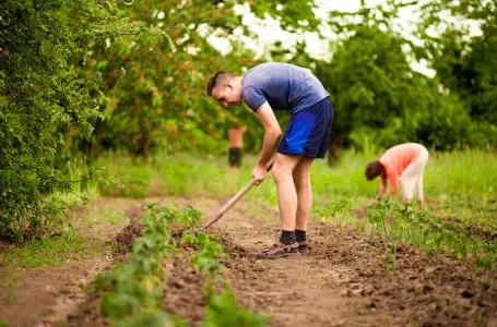 Sommergesundheit: 7 Goldene Regeln Sichere Arbeit an Grützen 2906_9