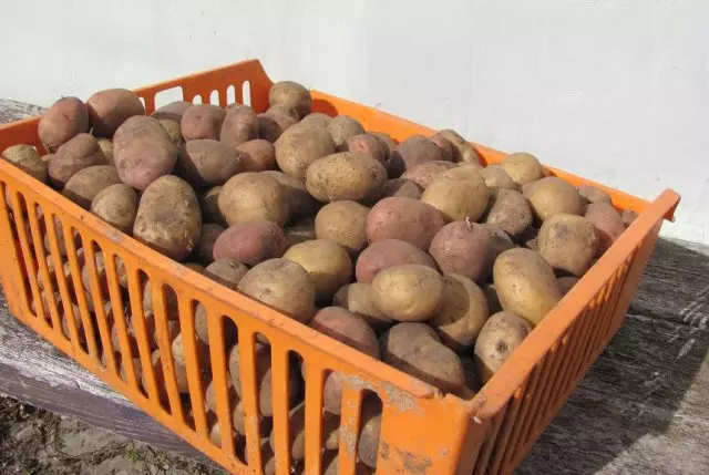 Boks med kartofler