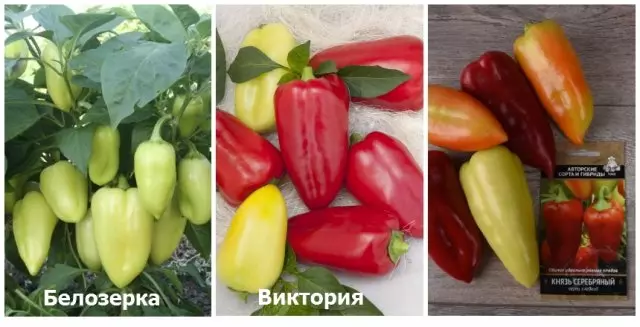 Agroofirma ძებნა Pepper Belozerka, ვიქტორია, პრინცი ვერცხლისფერი