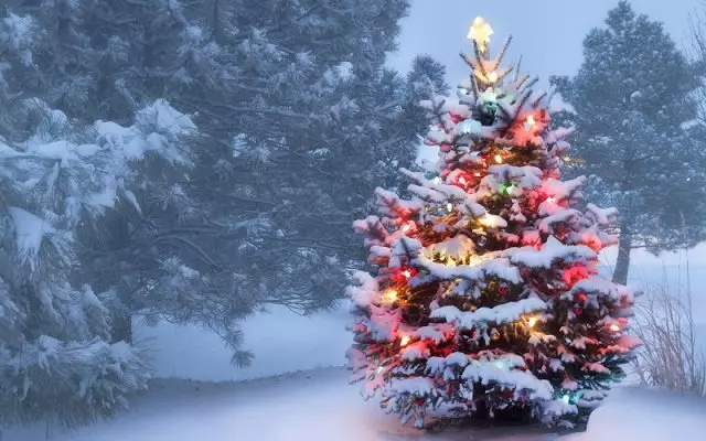 Neobično božićno drvce