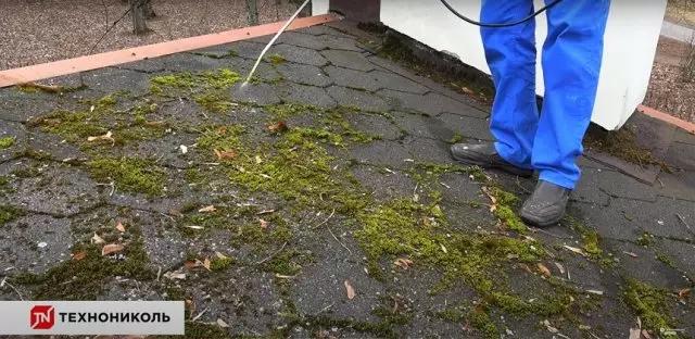 remove moss from the roof