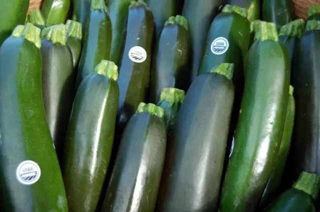 Fast Guide: What types of zucchini