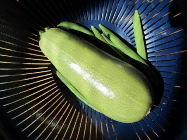 Zucchini Couza