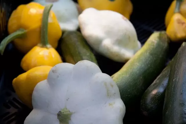 Nola ordezkatu patatak dieta batean zopa entsalada batean Olivier Schain Vigrette