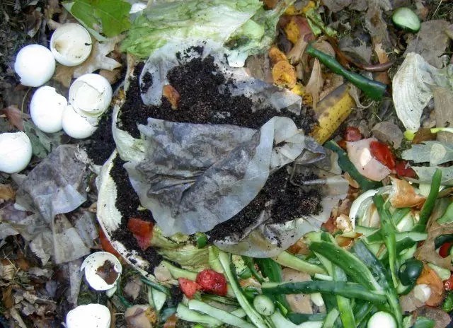 Compost del té