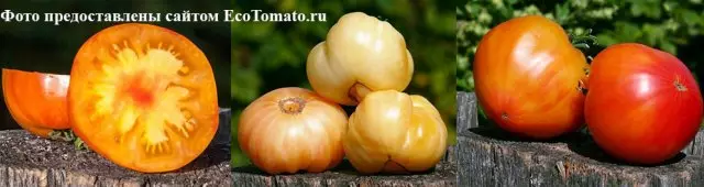 Tomato Bicolor Phokoso