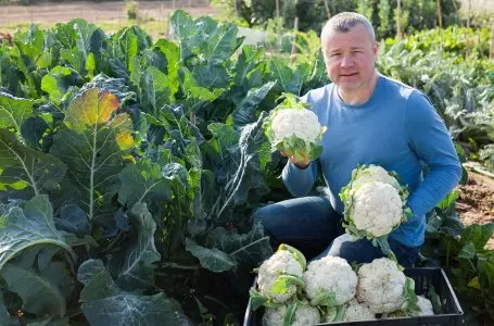 Was kann im März in den Garten gesät werden? 3148_17