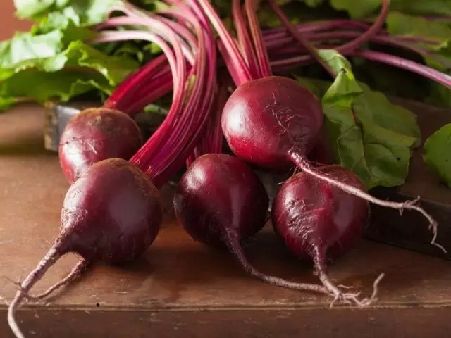 শত শত বপনের জন্য beet জাতের