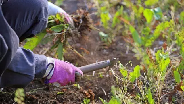 8 megbocsáthatatlan hibák, amelyeket minden ősszel csinálsz 3154_1