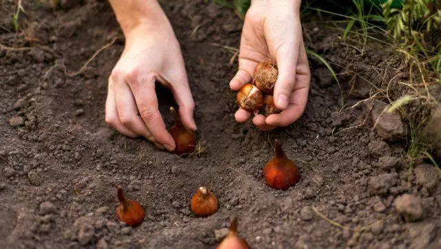 8 megbocsáthatatlan hibák, amelyeket minden ősszel csinálsz 3154_9