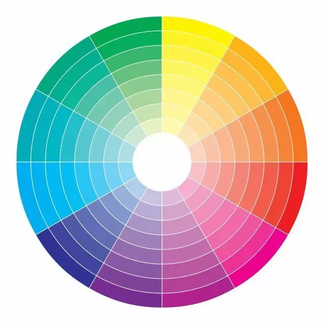 Hoe een kleurenpalet te kiezen voor uw tuin: 4 opties 3178_1