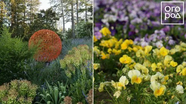 Ako si vybrať farebnú paletu pre vašu záhradu: 4 možnosti 3178_3