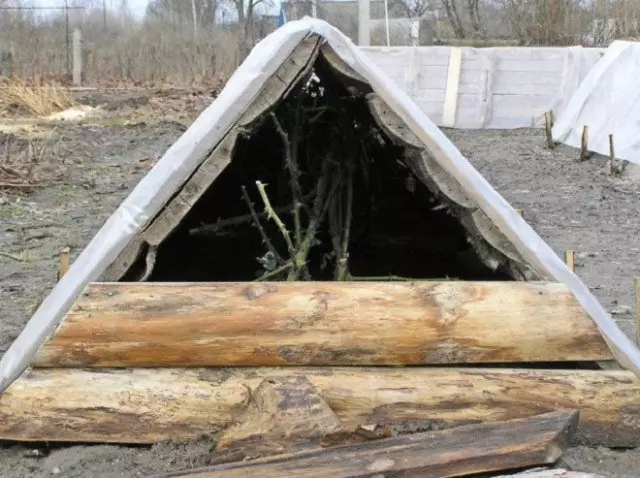 Rose Shelter For Winter