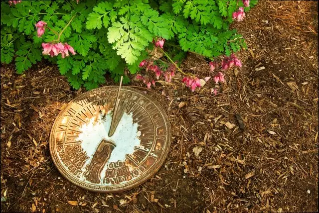 Mulch Coffee.