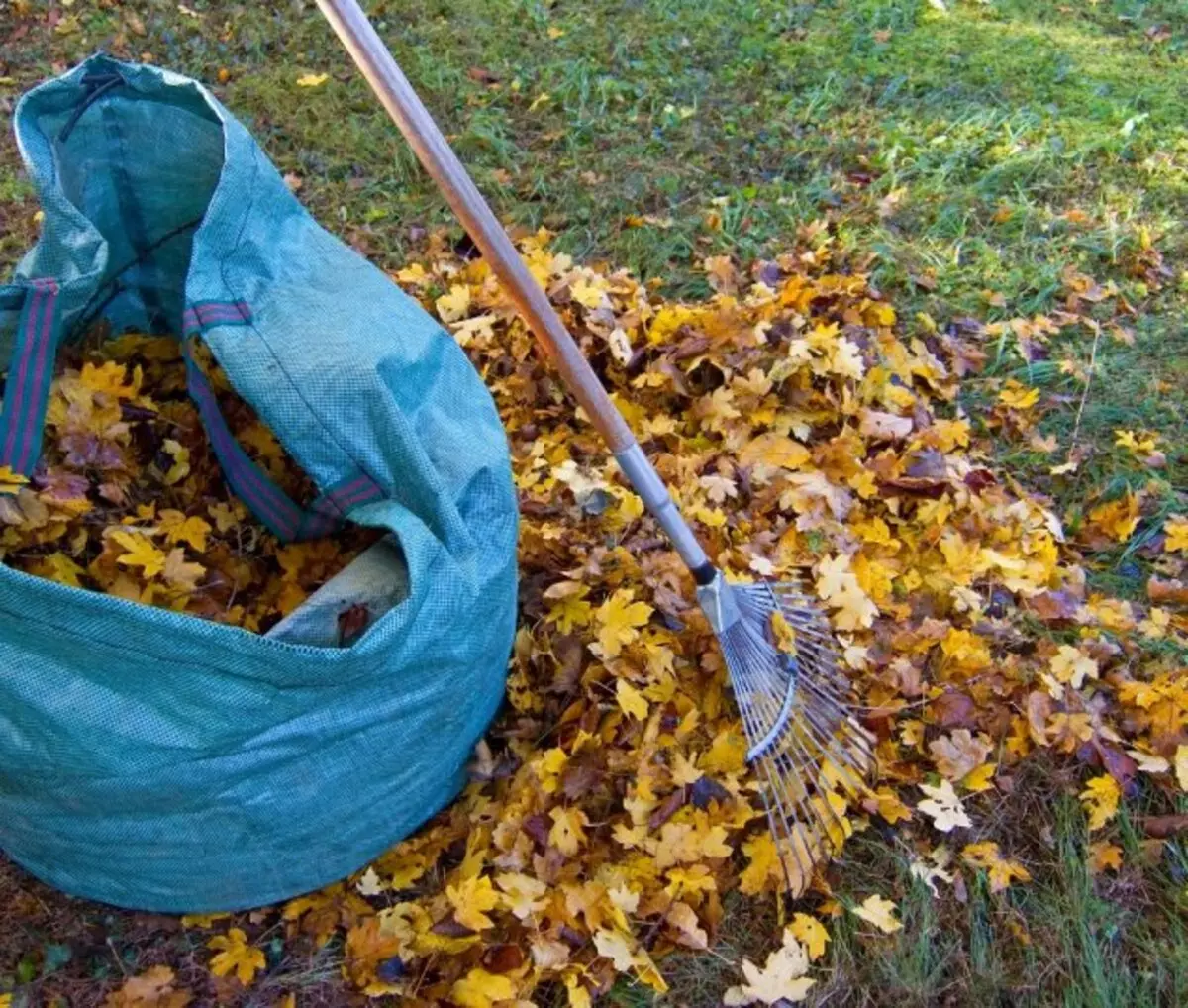Torbs plýusynda çalt kompost