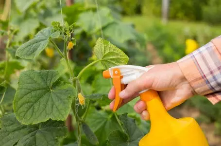 超リン酸 - 肥料を適用するための詳細な説明書 325_21