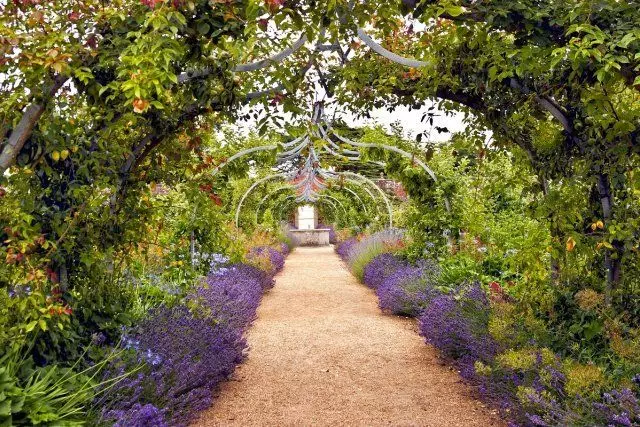 Jardí de flors d'estiu d'estiu de colors amb un camí sota arc