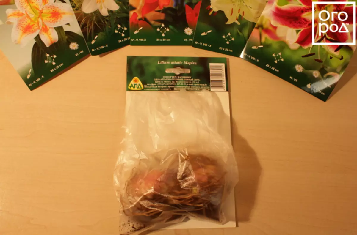 Lily bulbs na nkwakọ ngwaahịa