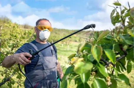 Keseller we sistemalar ýyllyk reňkler: Nädip tanamaly we söweşmeli? 3390_24