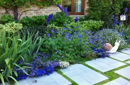 13 chambres avec des fleurs bleues et bleues 3463_1