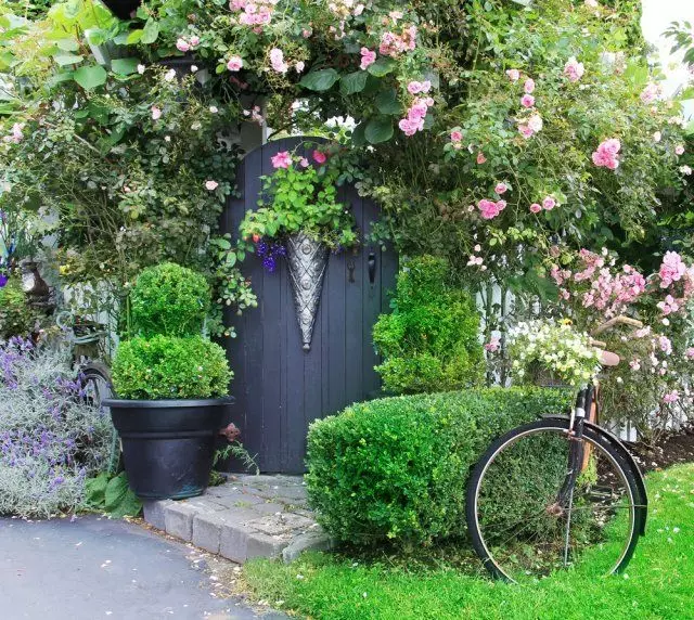 Cottage Garden in Engelse stijl - 9 principes van de schepping 3496_10