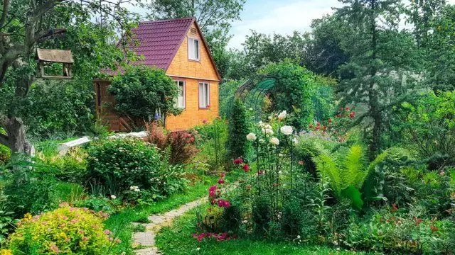 Kebun Cottage dalam gaya Inggris - 9 Prinsip Penciptaan 3496_14