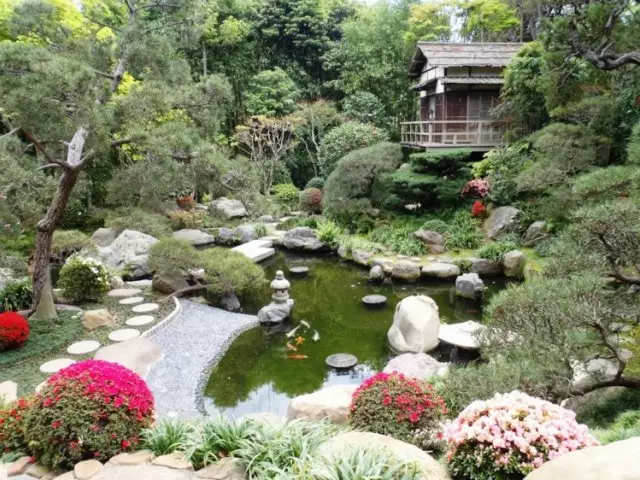 植物在日本園林裡