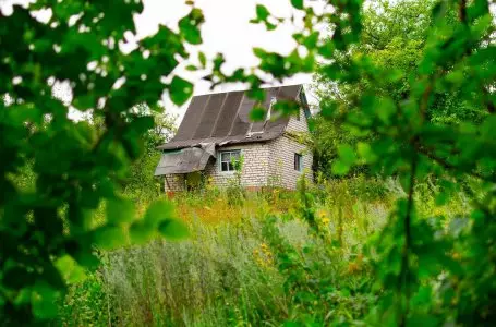 Bloembed in een schoon veld: hoe te doen en wat te planten 3541_3