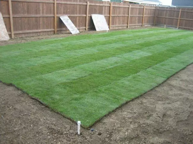 圧延芝生を敷設する方法：段差バイパスのプロセスの技術と説明 3576_31