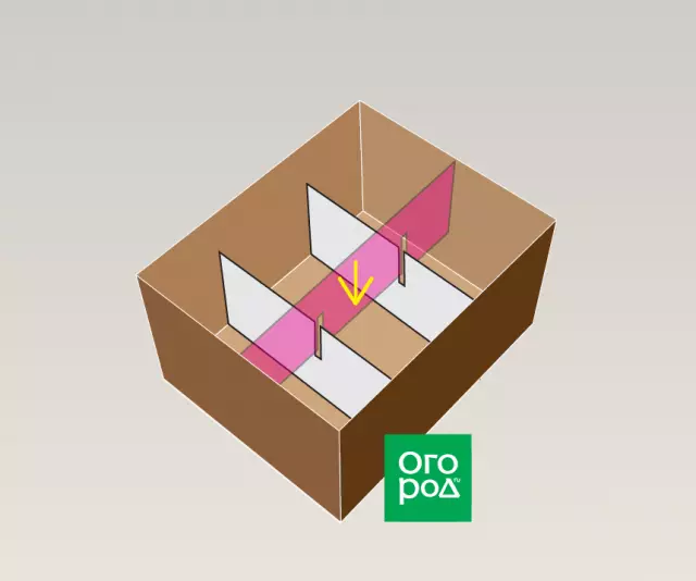 Scheme of partitions for a basket of newspaper tubes