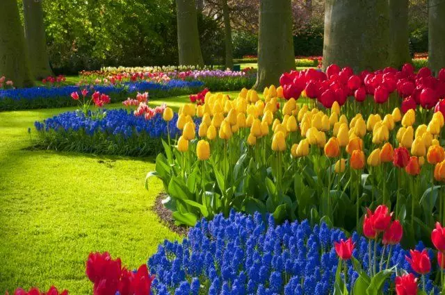 kökekenhof.