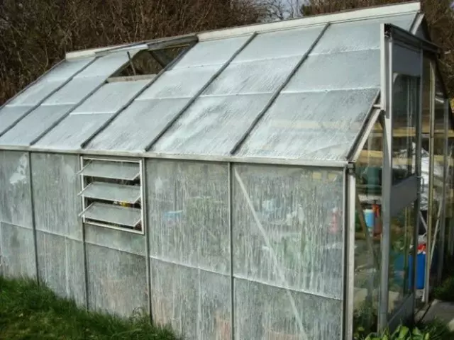 Painted Greenhouse.