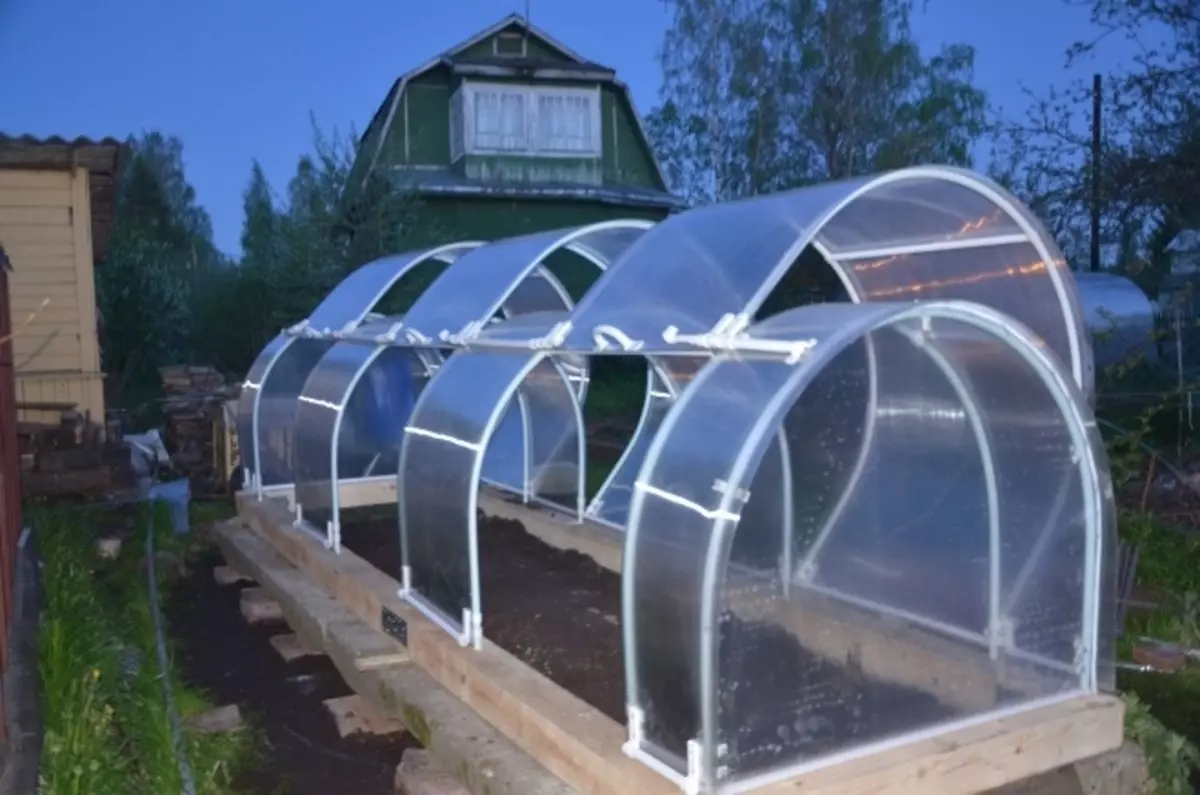 Binuksan ang greenhouse.