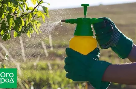 Come sbarazzarsi del bagnato in giardino e perché appare ancora e ancora 3640_7