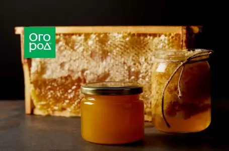 Kio utilas al apicultura produktoj: mielo, Perga, propolis, unbaw, reĝa lakto 3664_3