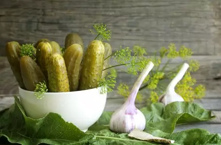 7 dishes with salted and pickled cucumbers 3670_1