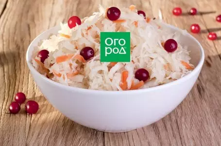 Nri si sauerkraut: 5 dị mfe usoro nri 3671_13