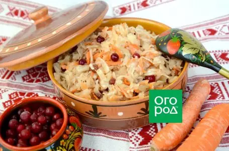 Nri si sauerkraut: 5 dị mfe usoro nri 3671_5