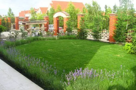 10 idei Cum să utilizați lavanda în designul grădinii 3706_10